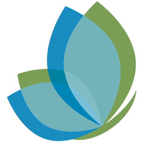 Impact Therapy Training