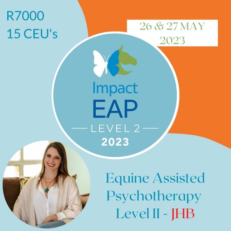 Impact Therapy Training