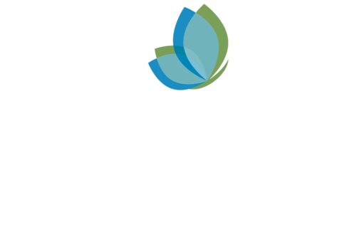 Impact Therapy Training