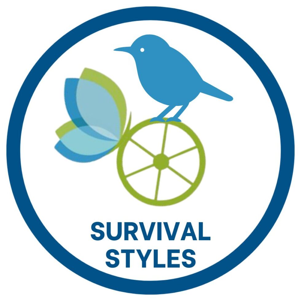 Survival Styles 2025 - Impact Therapy Training